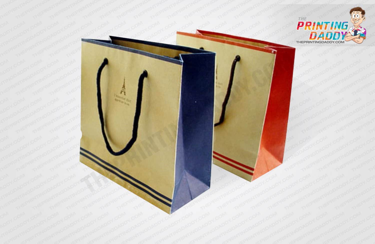 Custom Bag Boxes With Handle - The Printing Daddy